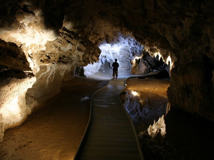 Gallery - Spellbound Glowworm Cave Tours